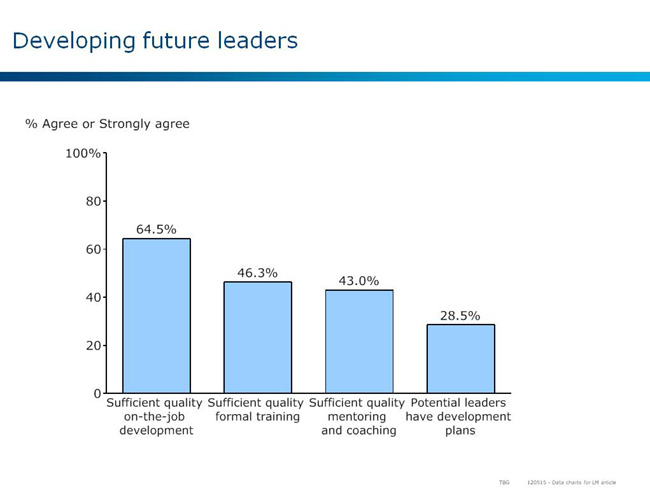 The Challenge of Developing Future Leaders: Survey Results Say… | Bridgespan