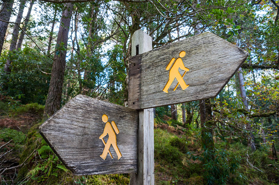 Two Signs that Your Strategy Needs a Refresh | Bridgespan Two Signs that Your Strategy Needs a Refresh | Bridgespan