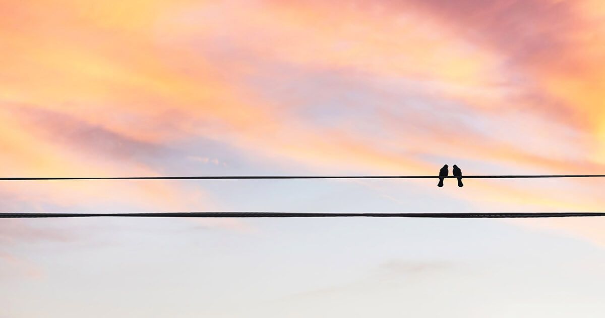 Learning Through Co-Leadership | Bridgespan