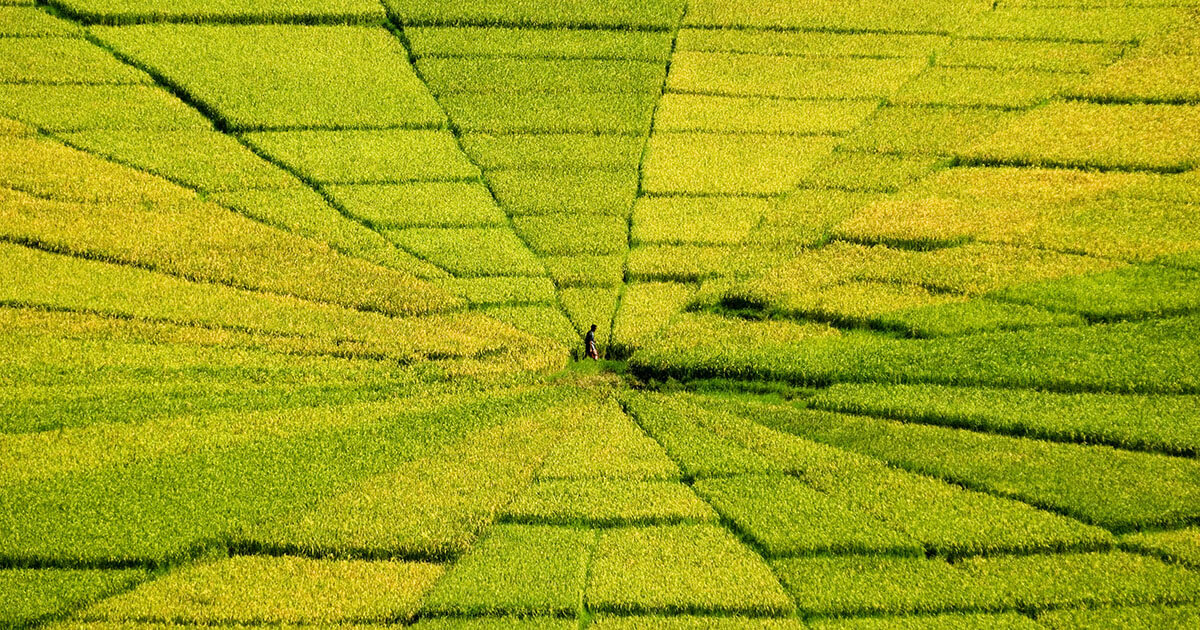 Promoting Equitable and Inclusive Green Job Growth in Southeast Asia ...