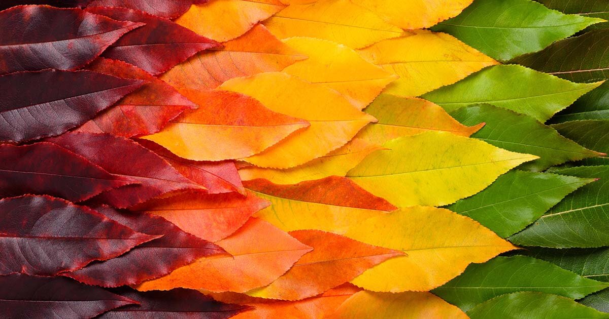 Nonprofit Leadership Transitions: Four Ways Funders Can Support Leaders ...