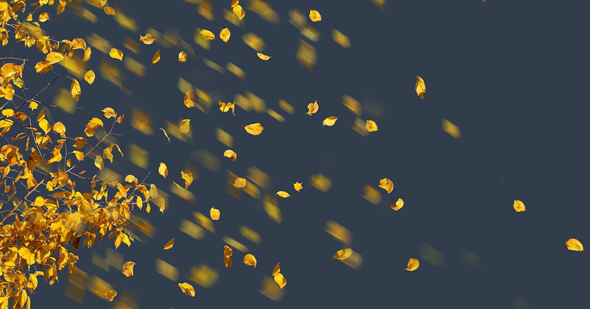 Learning from Nonprofits and NGOs That Have Put Large, Flexible Grants ...