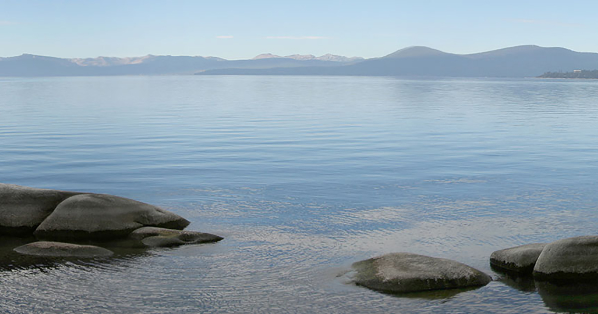 Helping You Assess Your Human Services Portfolio | Bridgespan